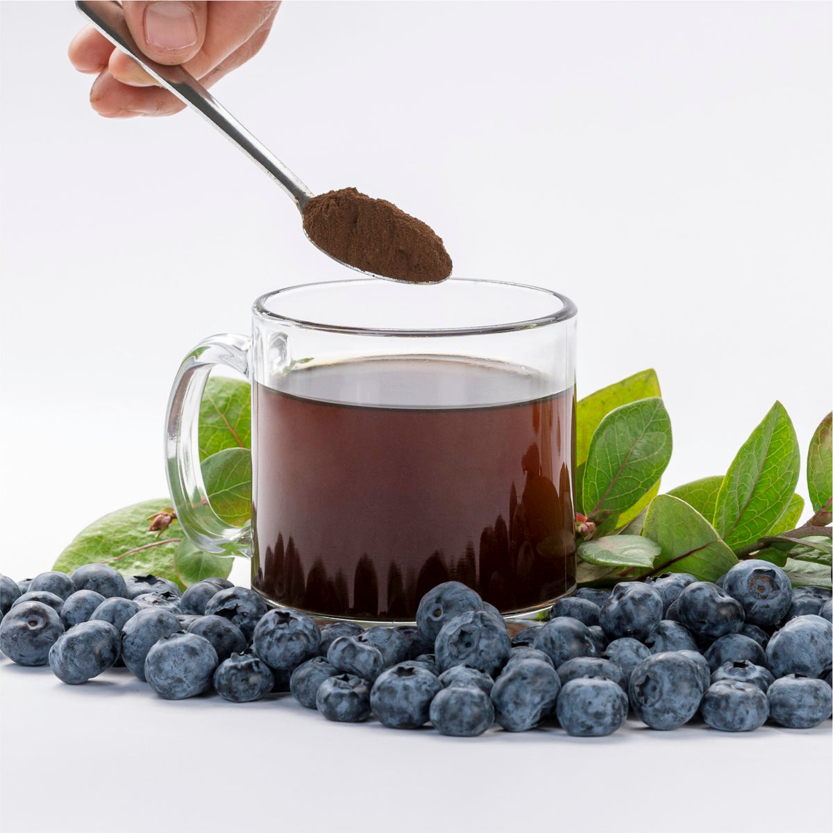 Infusión de arándano instantánea - PRANA — Shamix Emporio Natural